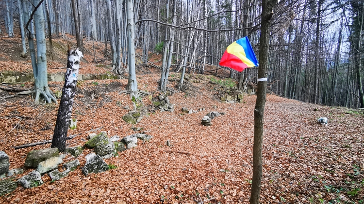 Fețele Albe, cetatea dacică propusă ca sit UNESCO, dar lăsată de ...