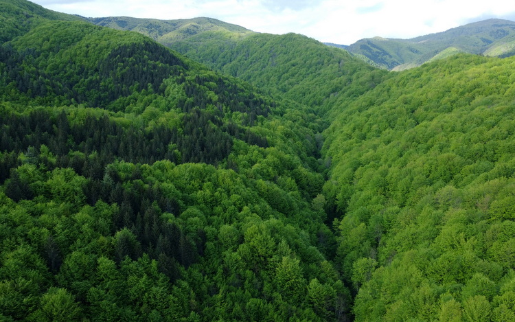 (VIDEO) Râpa cu galbeni. Aici a început povestea uriașelor comori ...