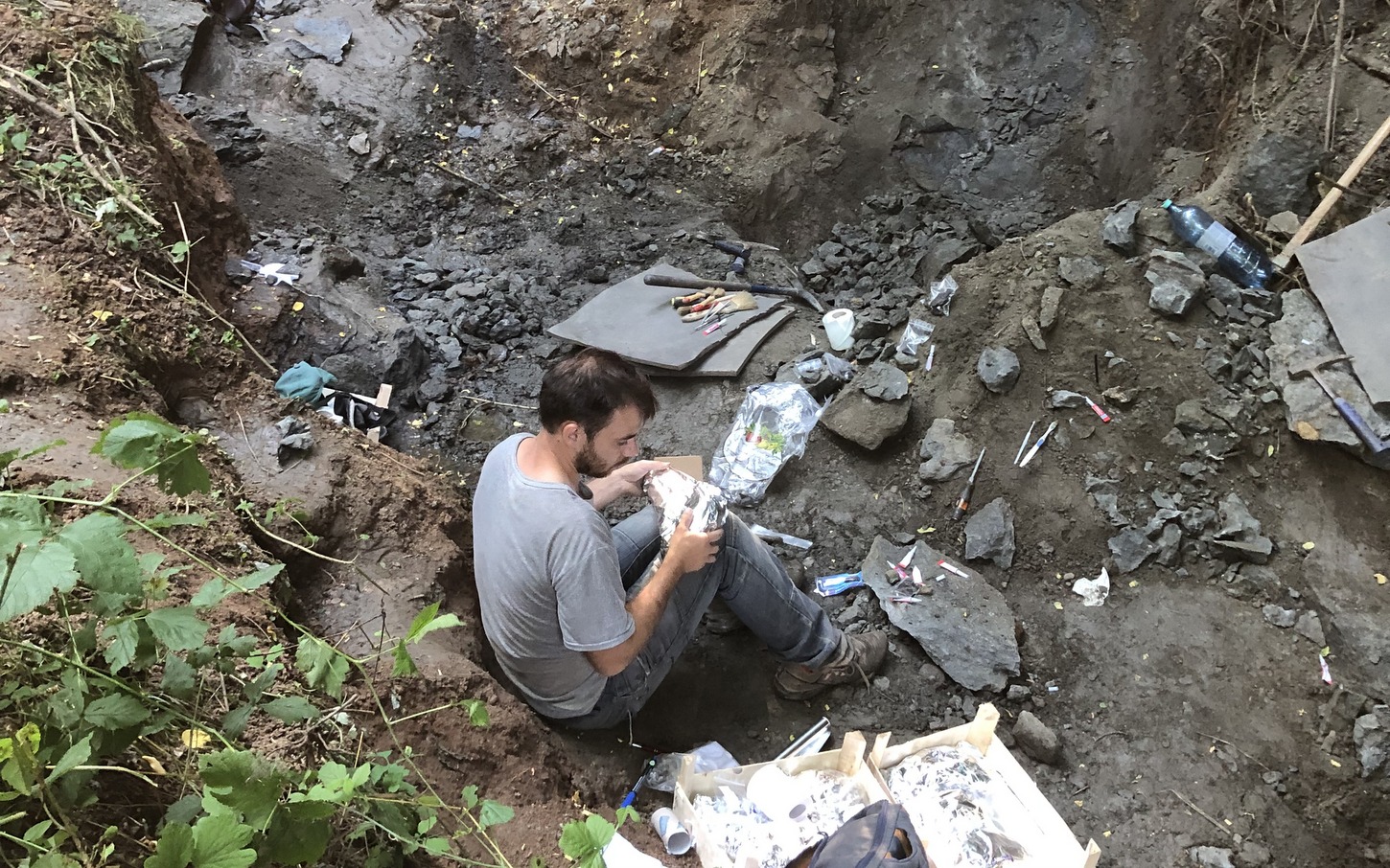 Fosile excepționale de dionozauri pitici, descoperite în Țara Hațegului ...